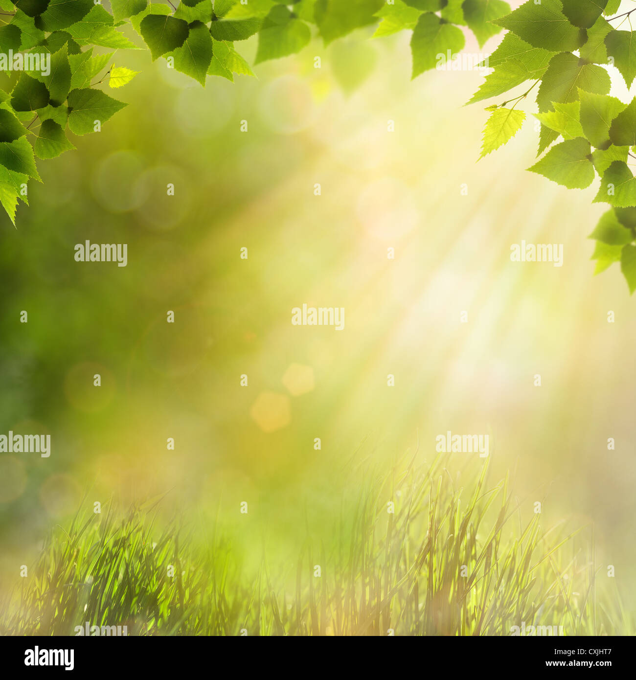 Beauty natural backgrounds for your design Stock Photo - Alamy