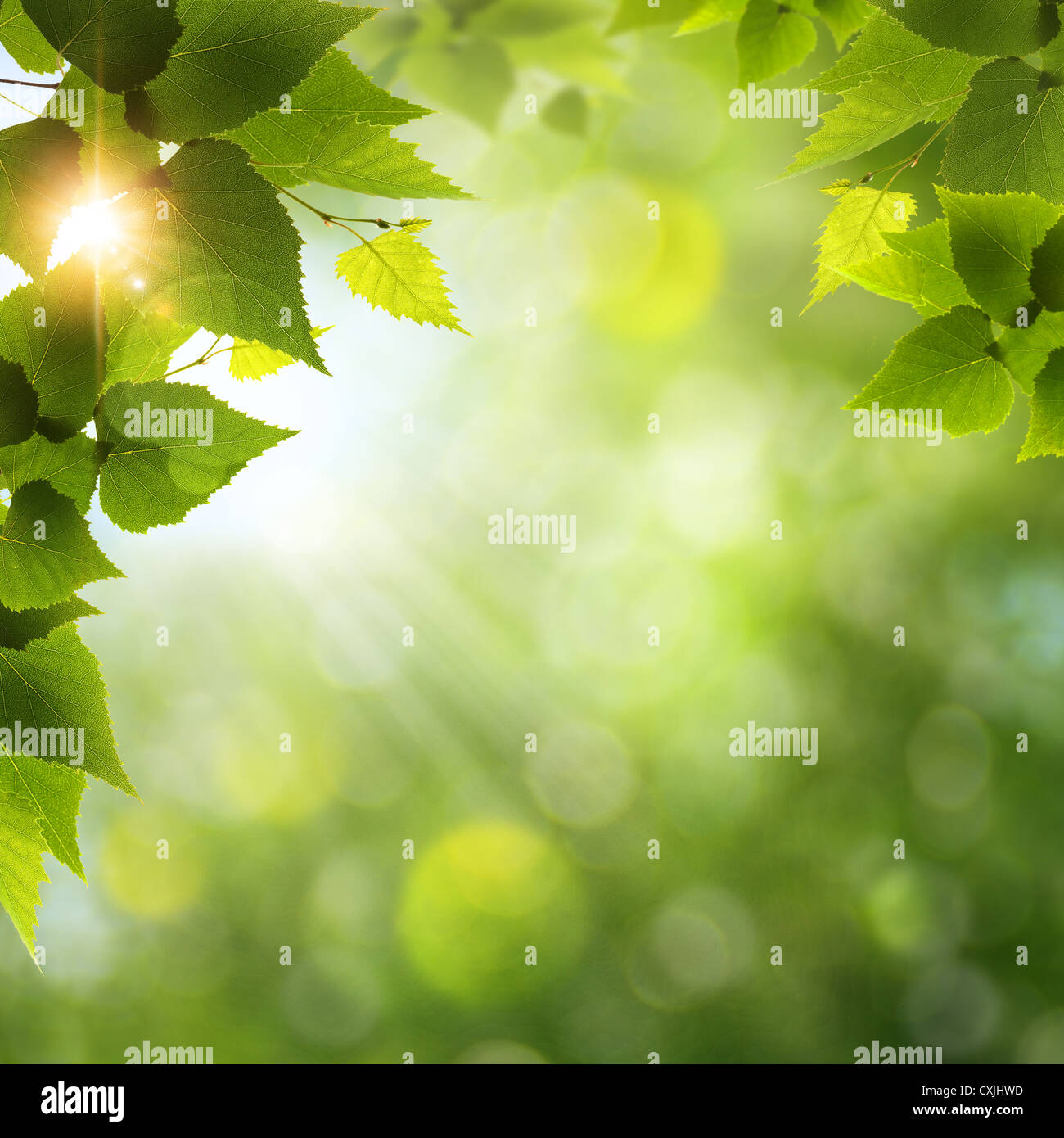 Beauty natural backgrounds for your design Stock Photo - Alamy