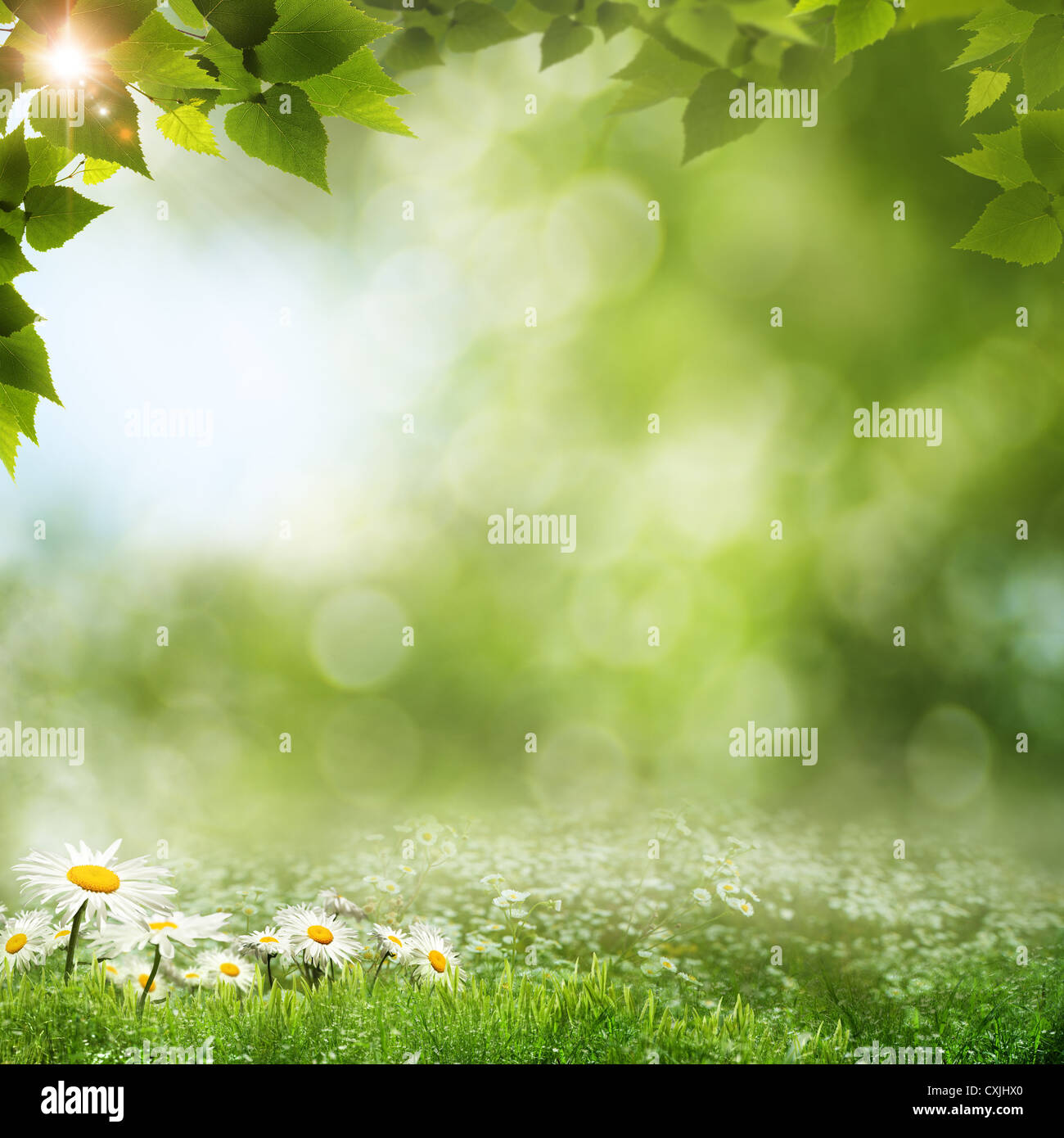 Beauty natural backgrounds for your design Stock Photo - Alamy