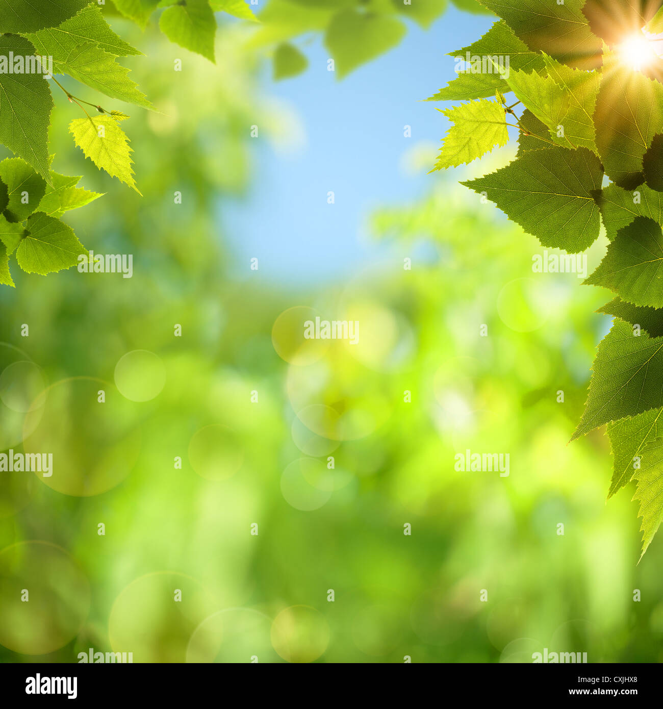 Beauty natural backgrounds for your design Stock Photo - Alamy