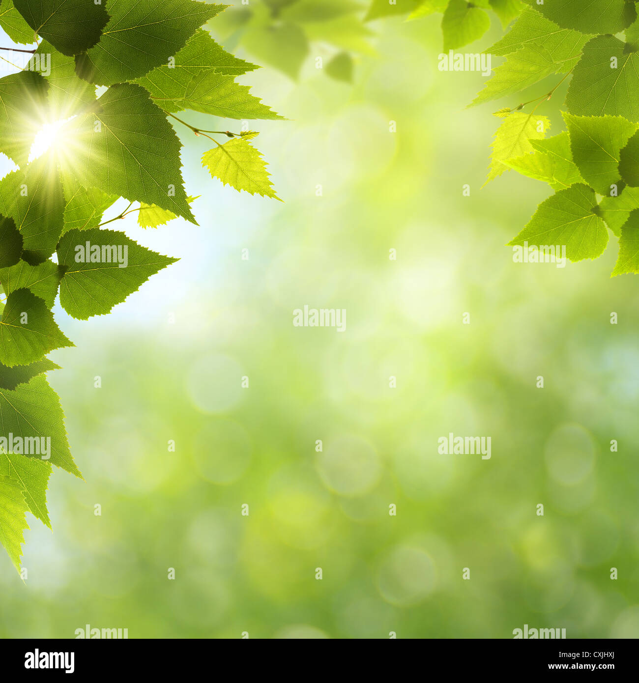 Beauty natural backgrounds for your design Stock Photo - Alamy
