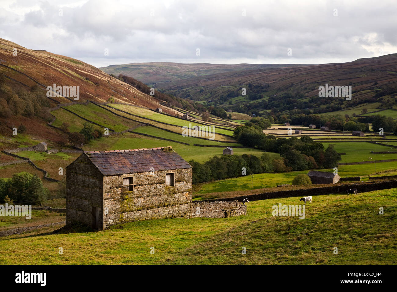 Stony Limestone Barns in the farming landscape and Countryside of ...