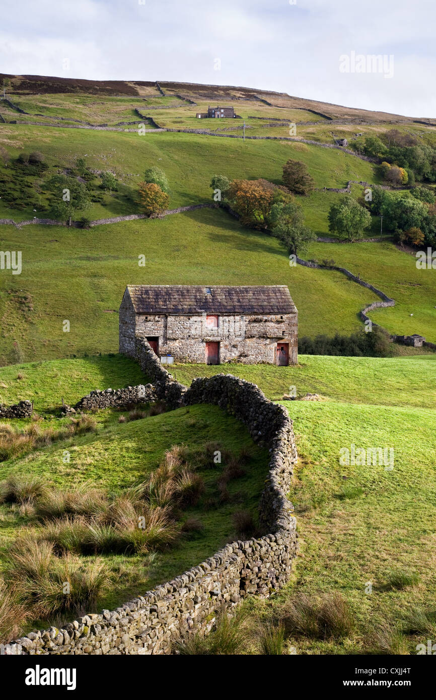 Stony Limestone Barns October Landscape and Countryside of Thwaite near ...