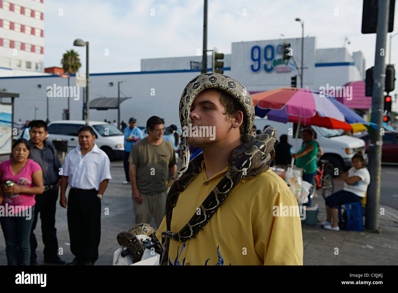 los angeles man snake pet Stock Photo - Alamy