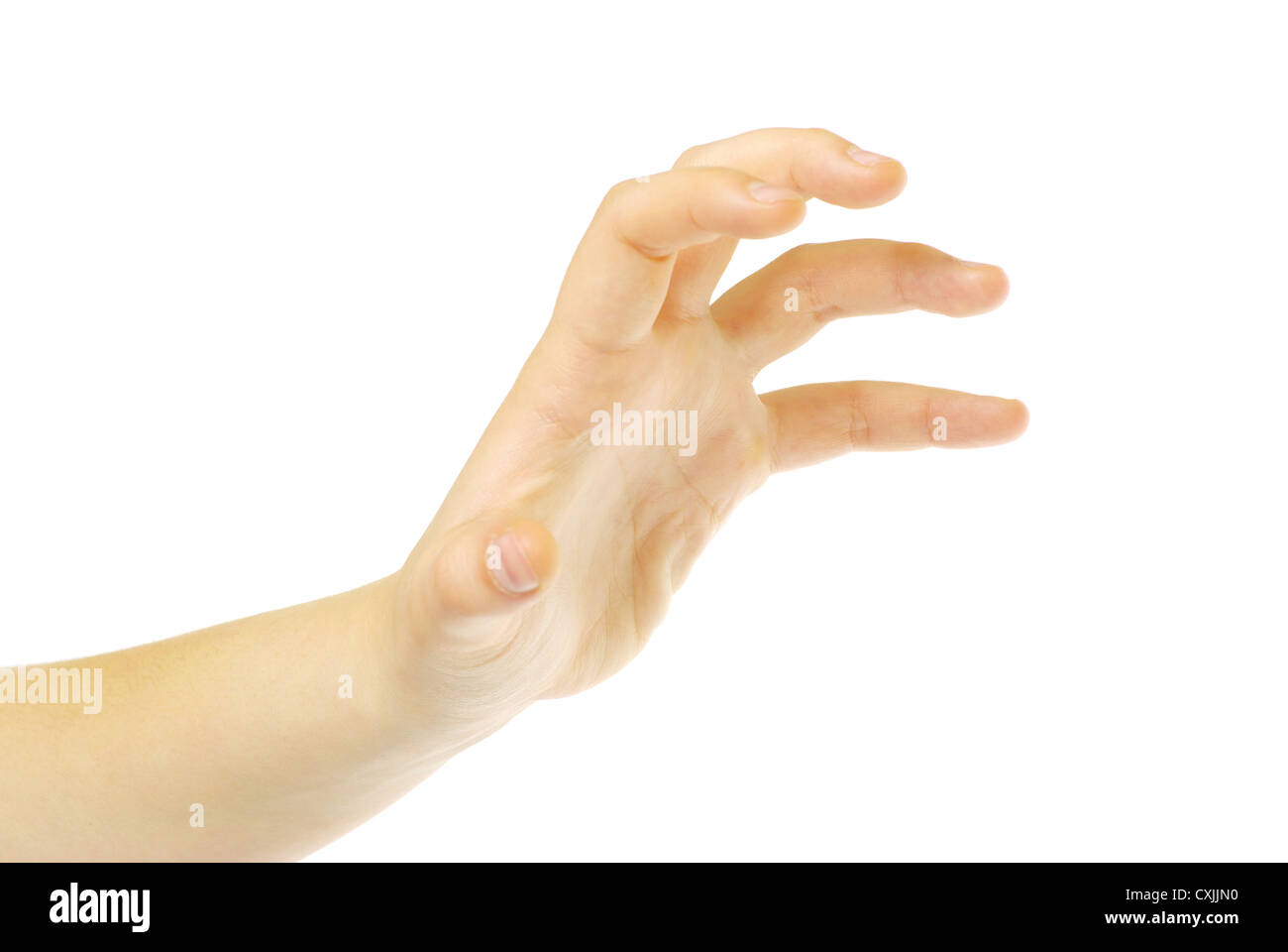 hand isolated on a white Stock Photo - Alamy