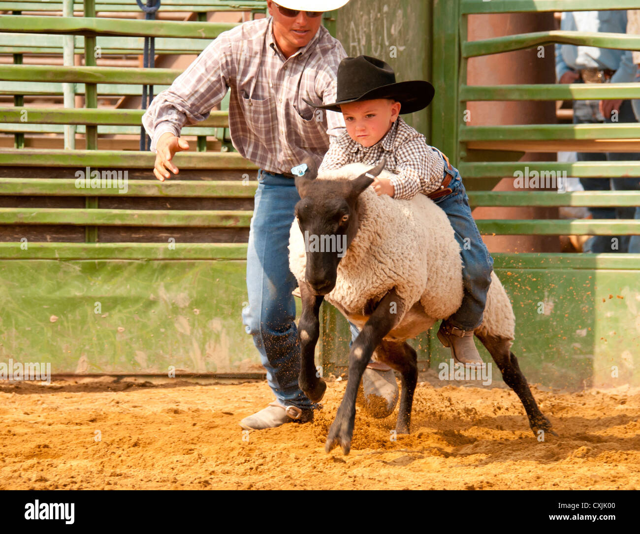 Kids riding sheep hi-res stock photography and images - Alamy
