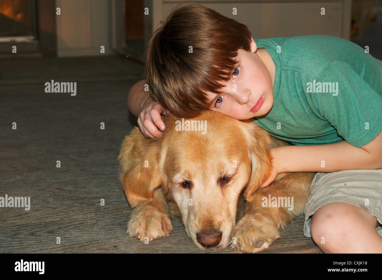 Boy big dog hi-res stock photography and images - Alamy