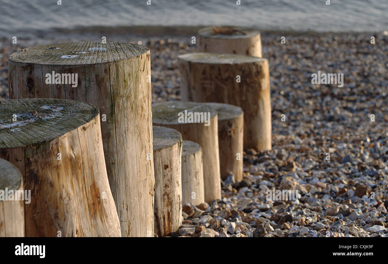 Wooden stumps towards the water at the beach Stock Photo - Alamy