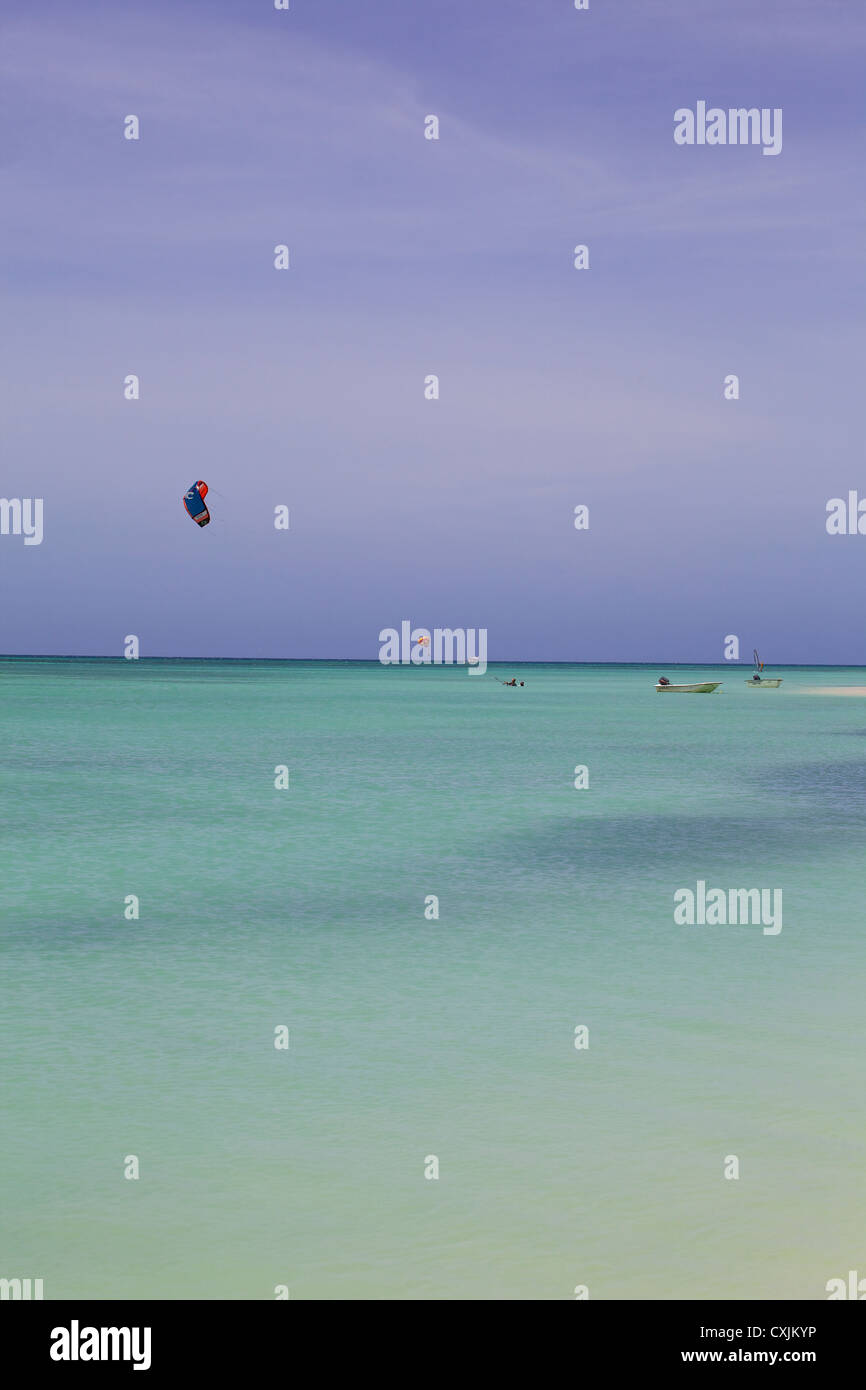 Windsurfing in the Blue Water of Aruba III Stock Photo - Alamy