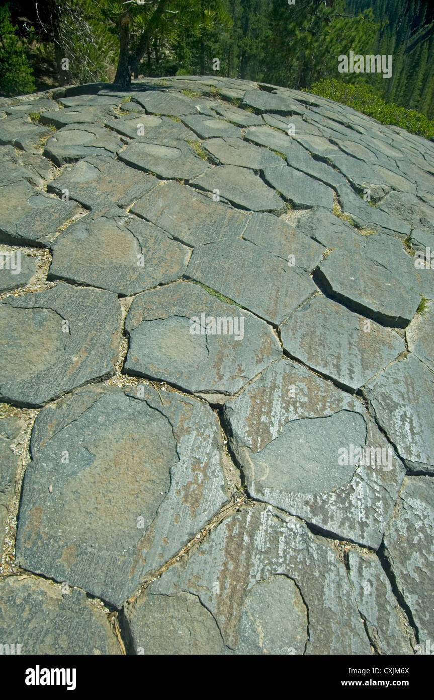 Top surface of Columnar Basalt, Devil's Postpile National Monument ...