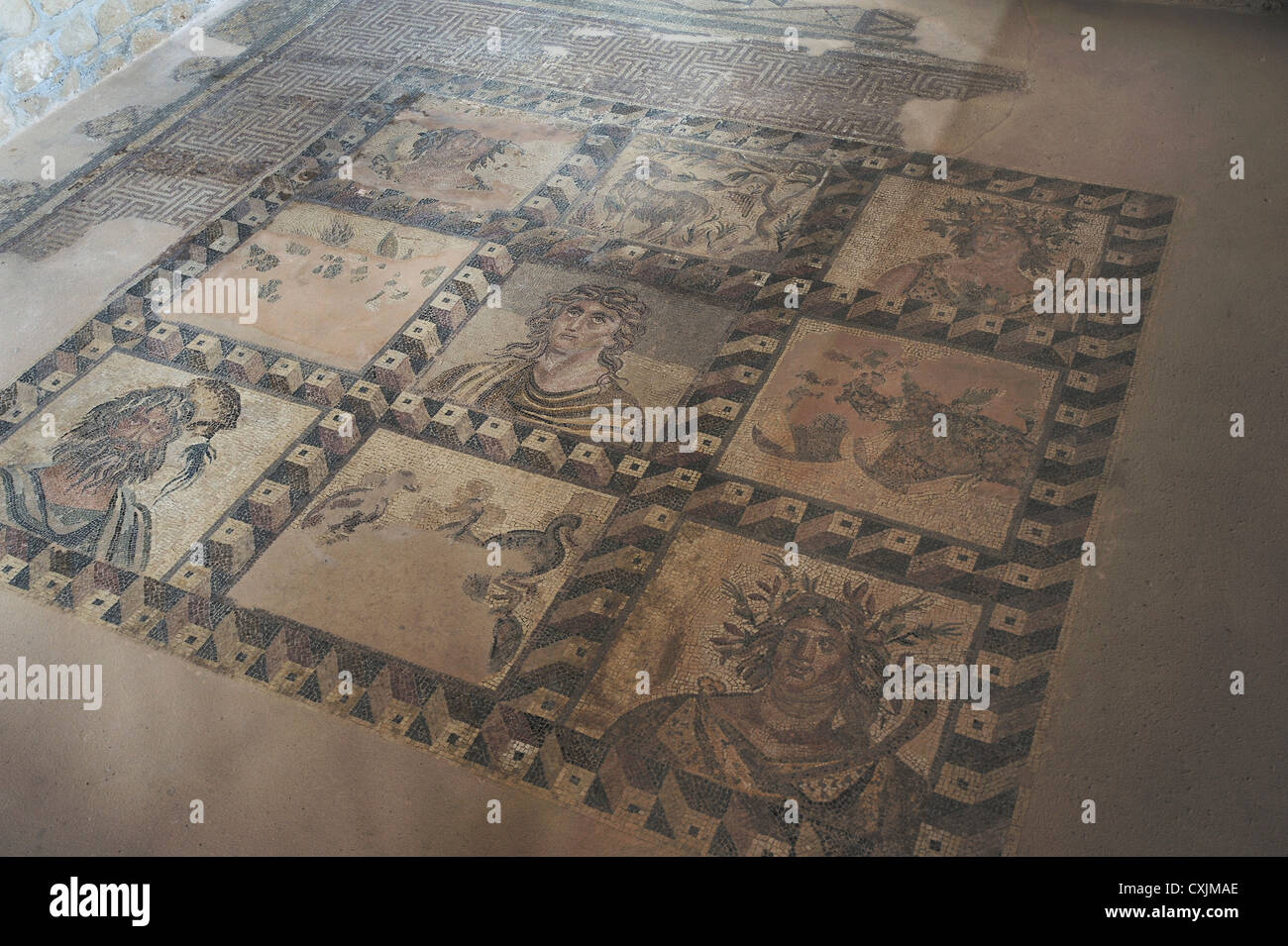 Well-preserved Roman mosaics at Pafos (Paphos), southern Cyprus Stock ...