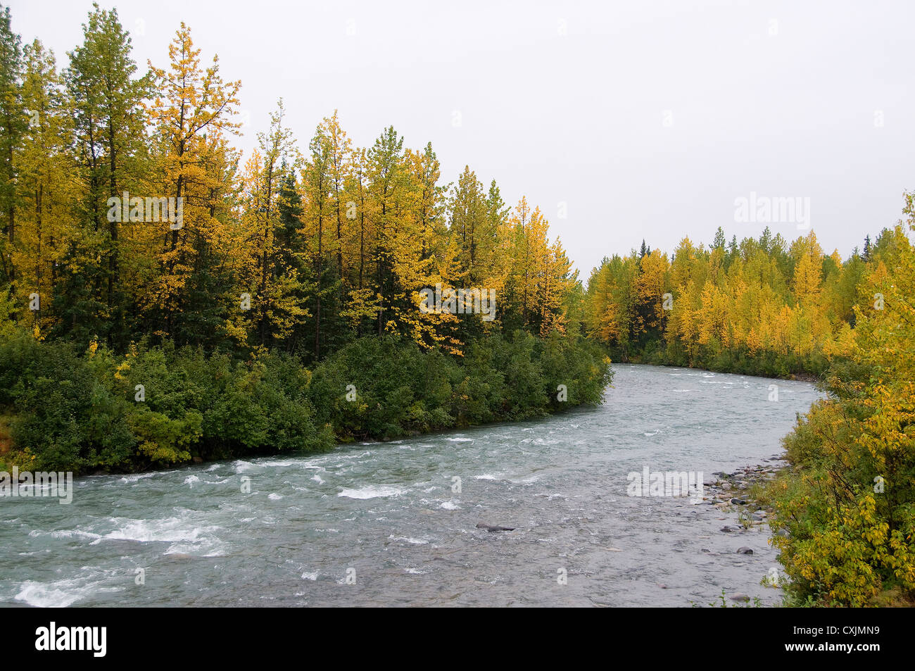 Alaska's rivers and forests between Denali and Fairbanks offer ...