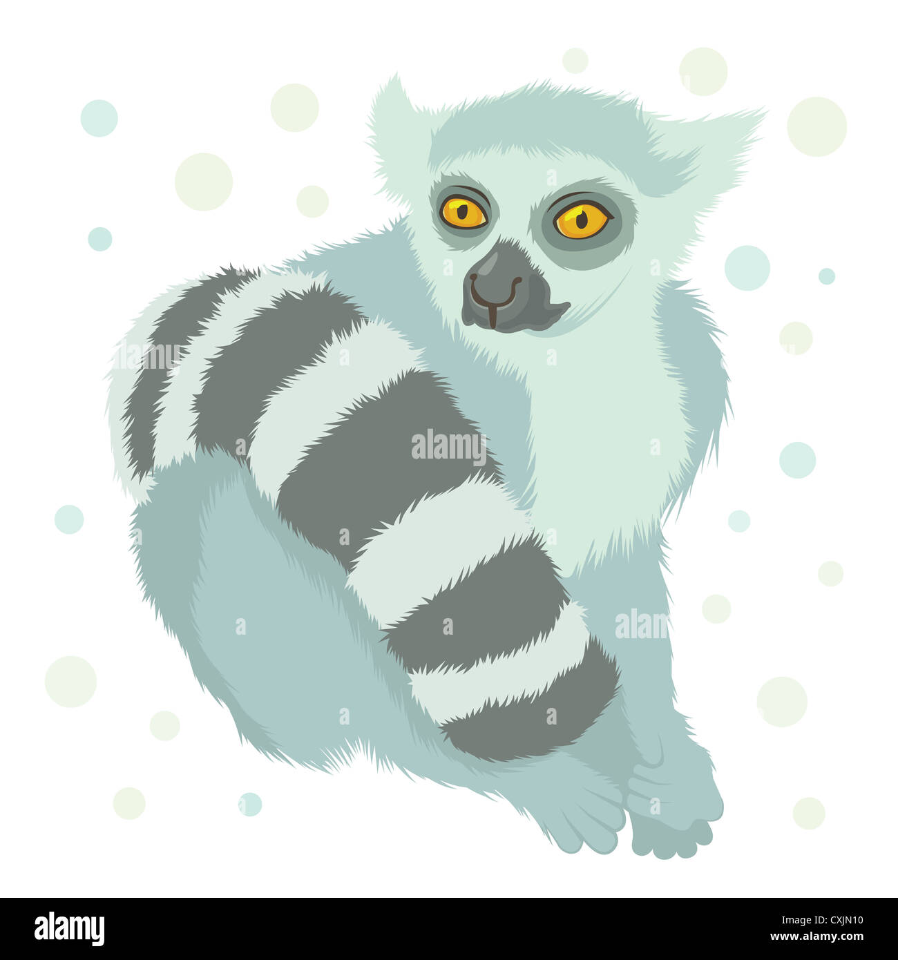 Ring tailed lemur Cut Out Stock Images & Pictures - Alamy