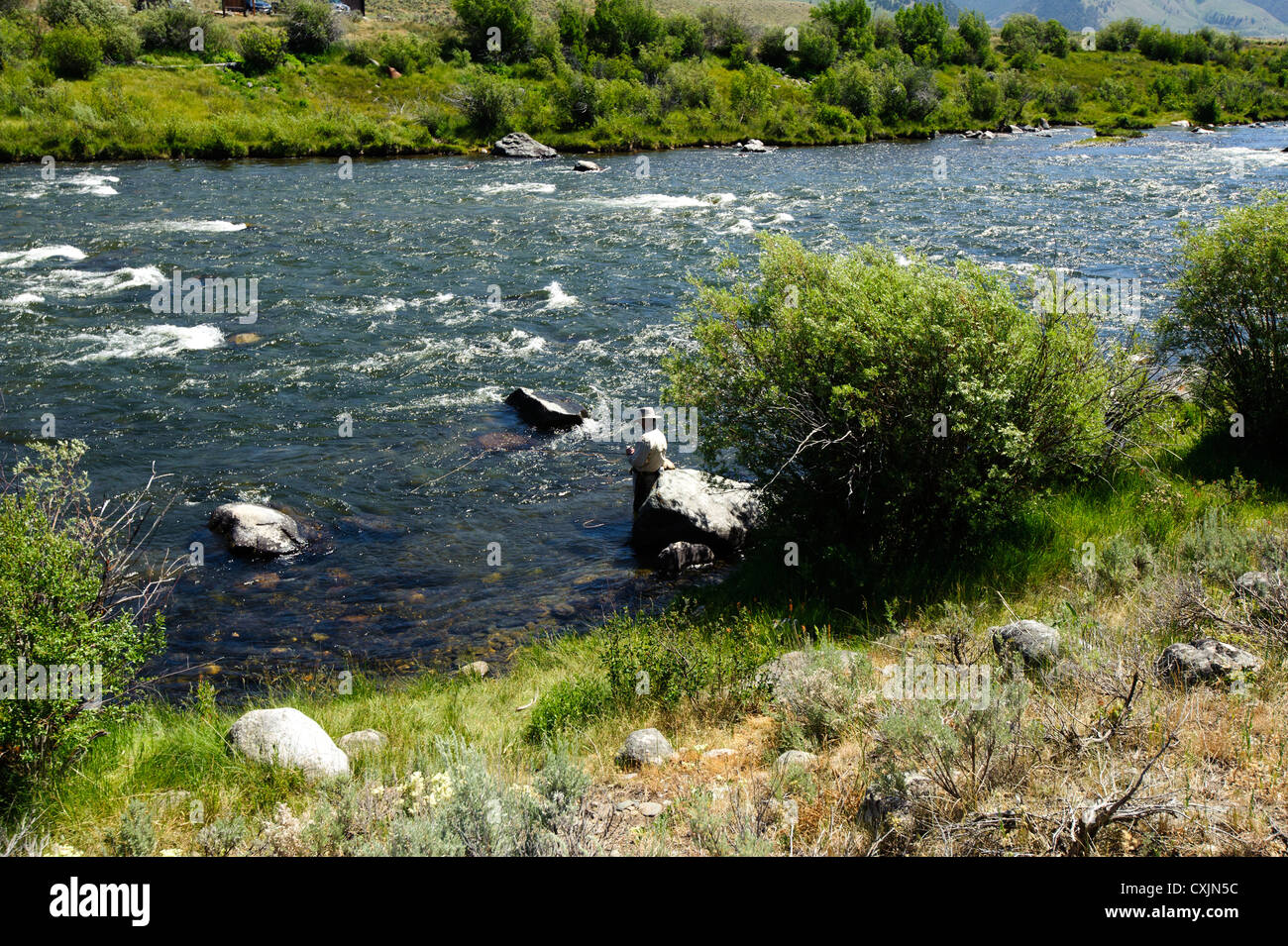Fly fishing in madison river hi-res stock photography and images - Alamy