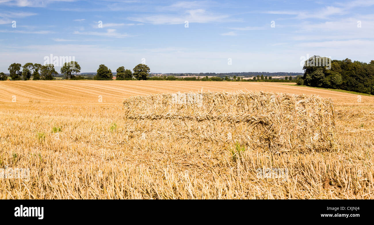 Dramatic blue sky and clouds over harvested corn in Cotswolds in ...