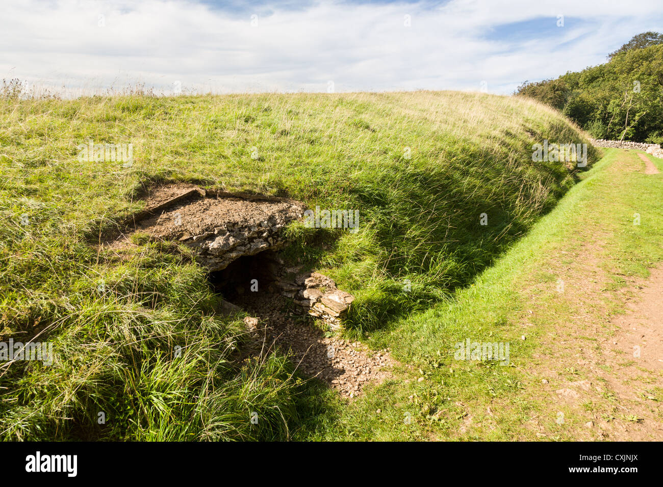 Prehistoric barrow known as Belas Nap on Cleeve Hill in Gloucestershire ...