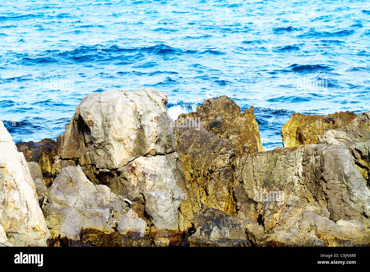 Large sea bubble hi-res stock photography and images - Alamy