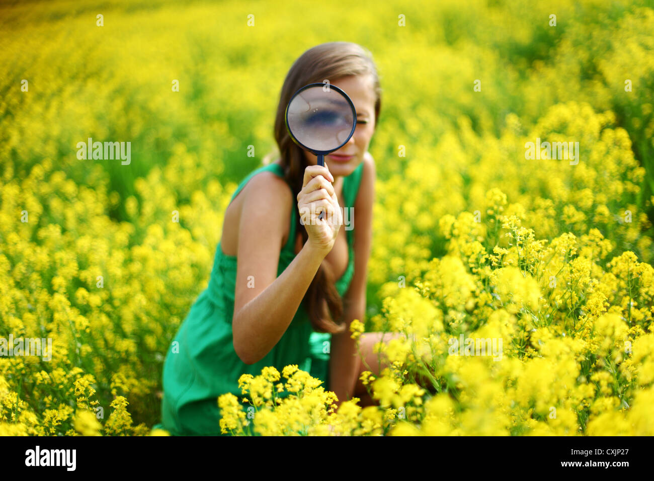 botanist woman in yellow flower field Stock Photo - Alamy