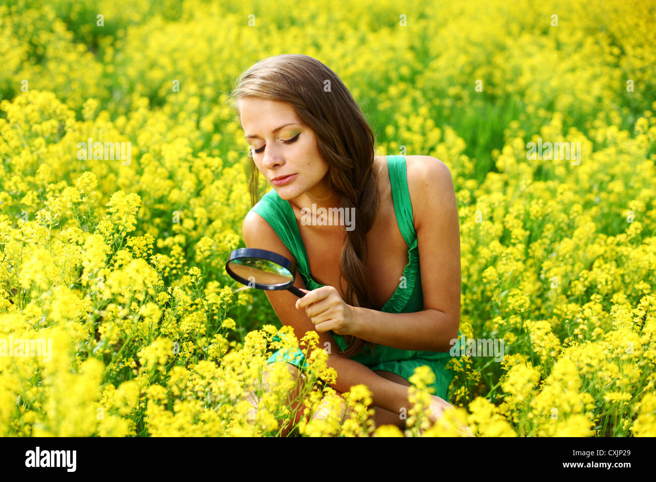 botanist woman in yellow flower field Stock Photo - Alamy
