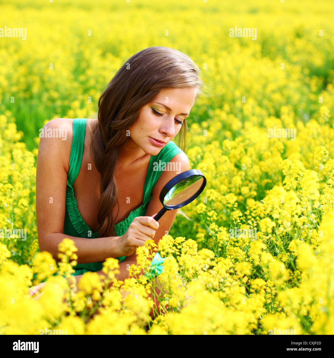 botanist woman in yellow flower field Stock Photo - Alamy