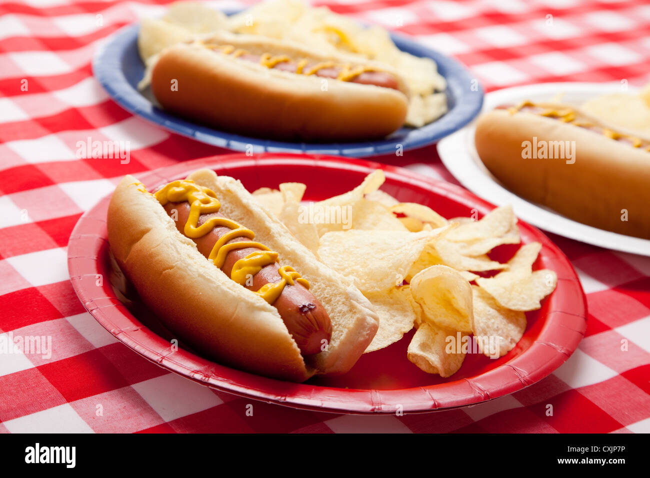 Plain Hot Dog On A Plate