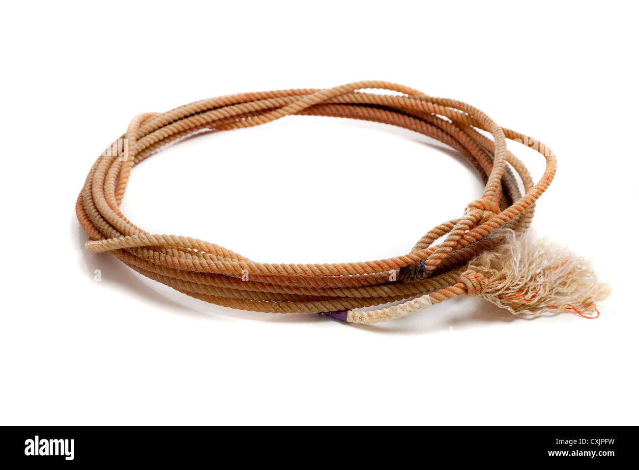 Lasso or lariat on a white background with a copy space Stock Photo - Alamy