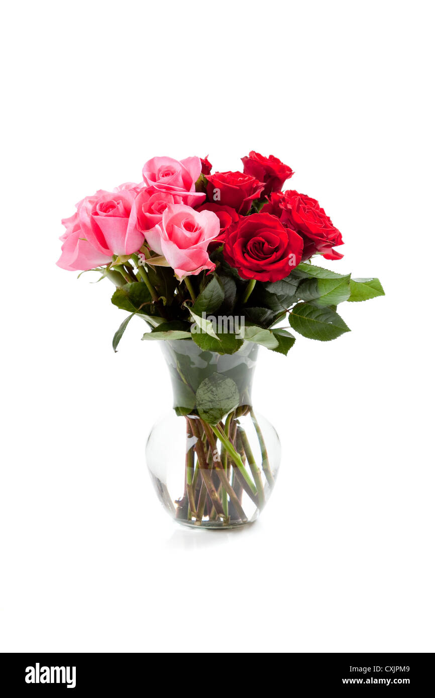 Clear glass vase with pink and red roses on a white background Stock ...