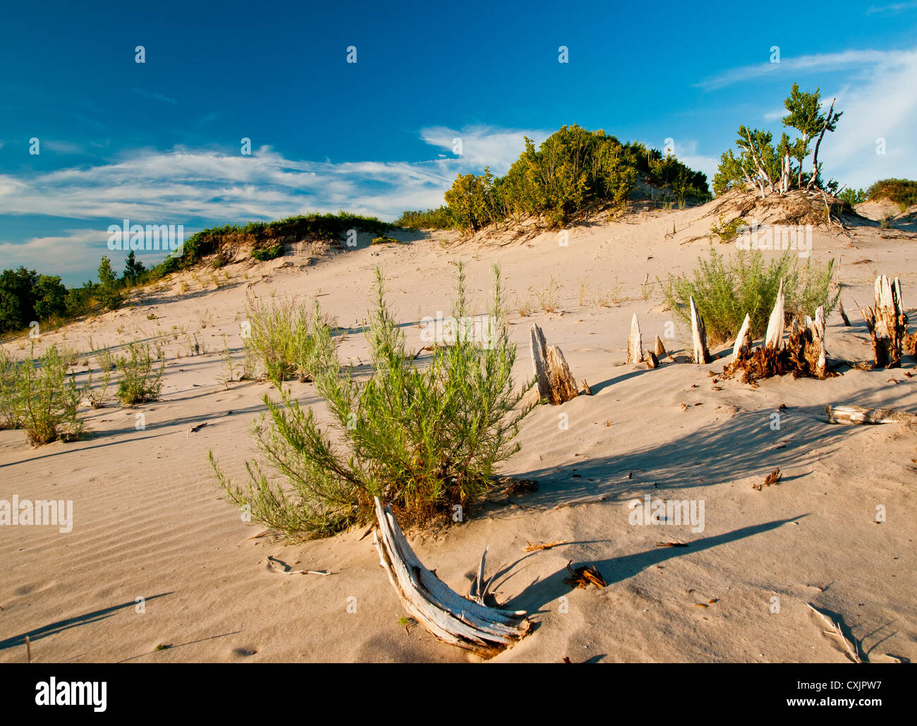 Sandbanks park hi-res stock photography and images - Alamy