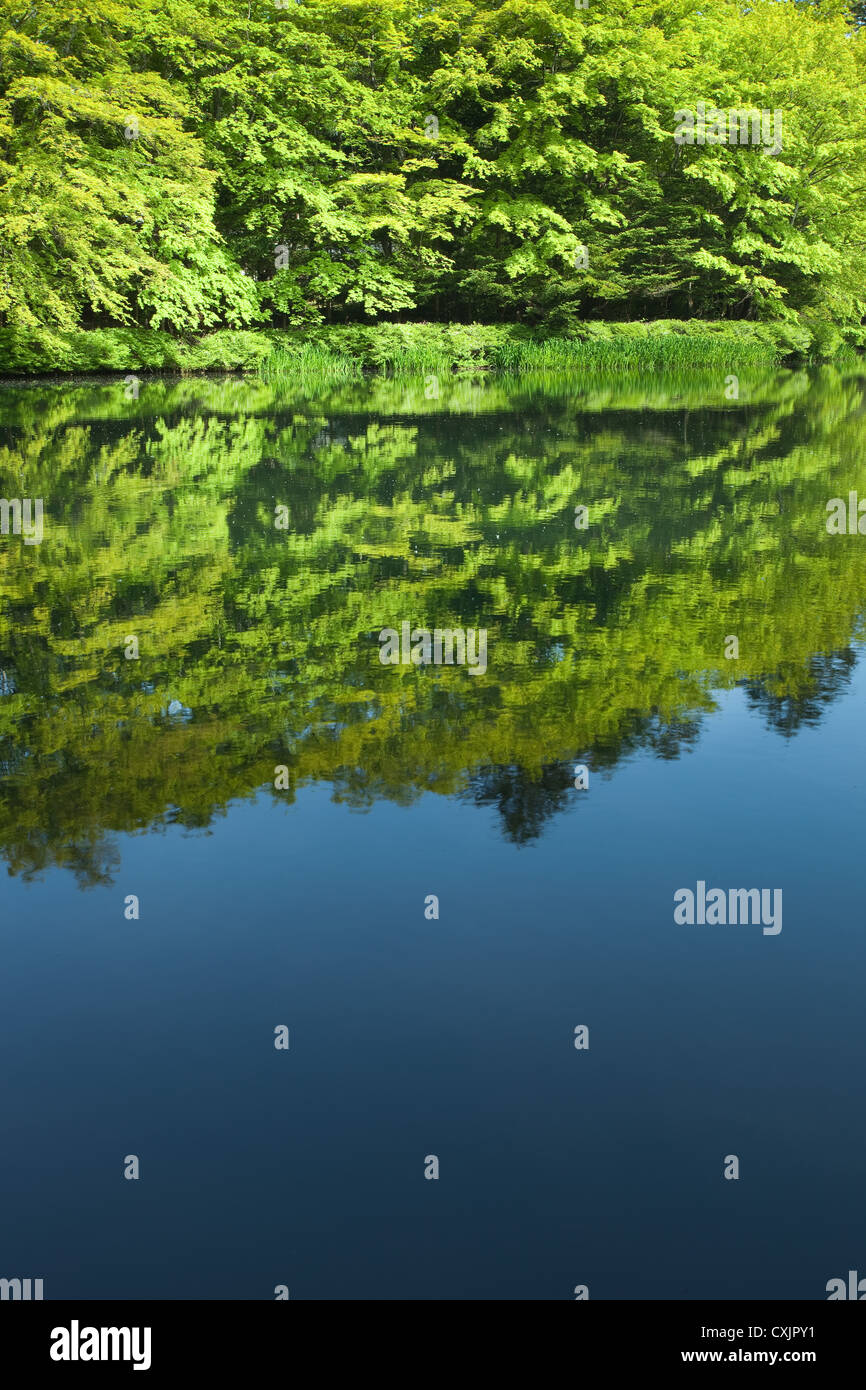 Fresh pond hi-res stock photography and images - Alamy