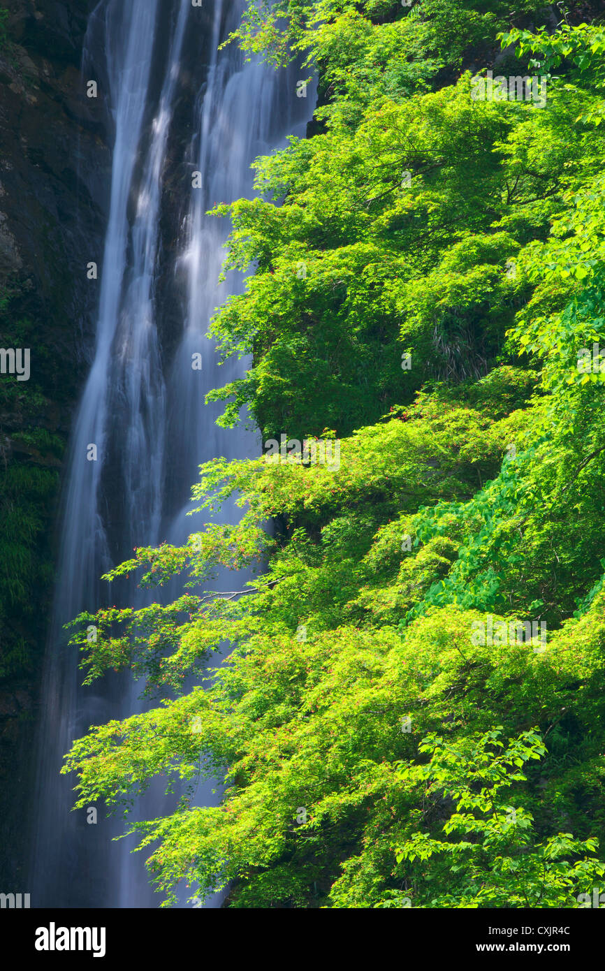 100 best waterfalls in japan hi-res stock photography and images - Alamy