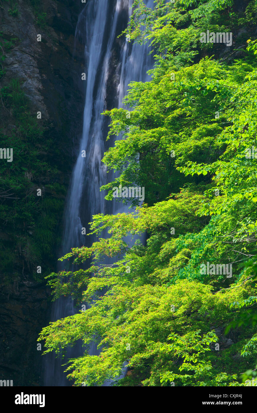 Shusui waterfall hi-res stock photography and images - Alamy