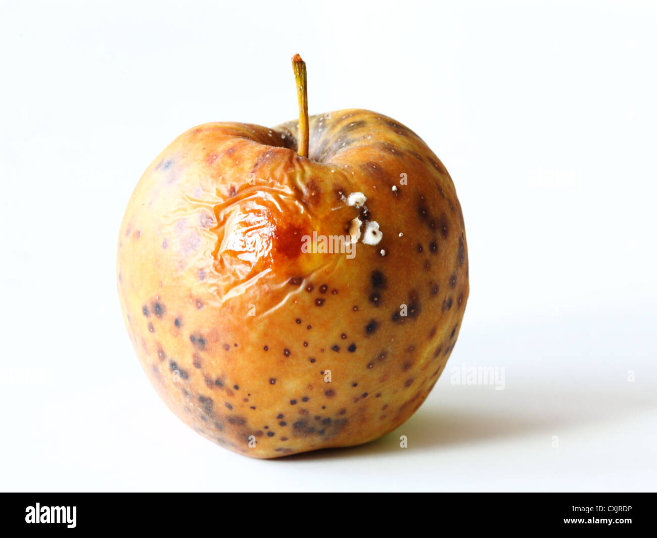 spoiled one bad red apple on white background Stock Photo - Alamy