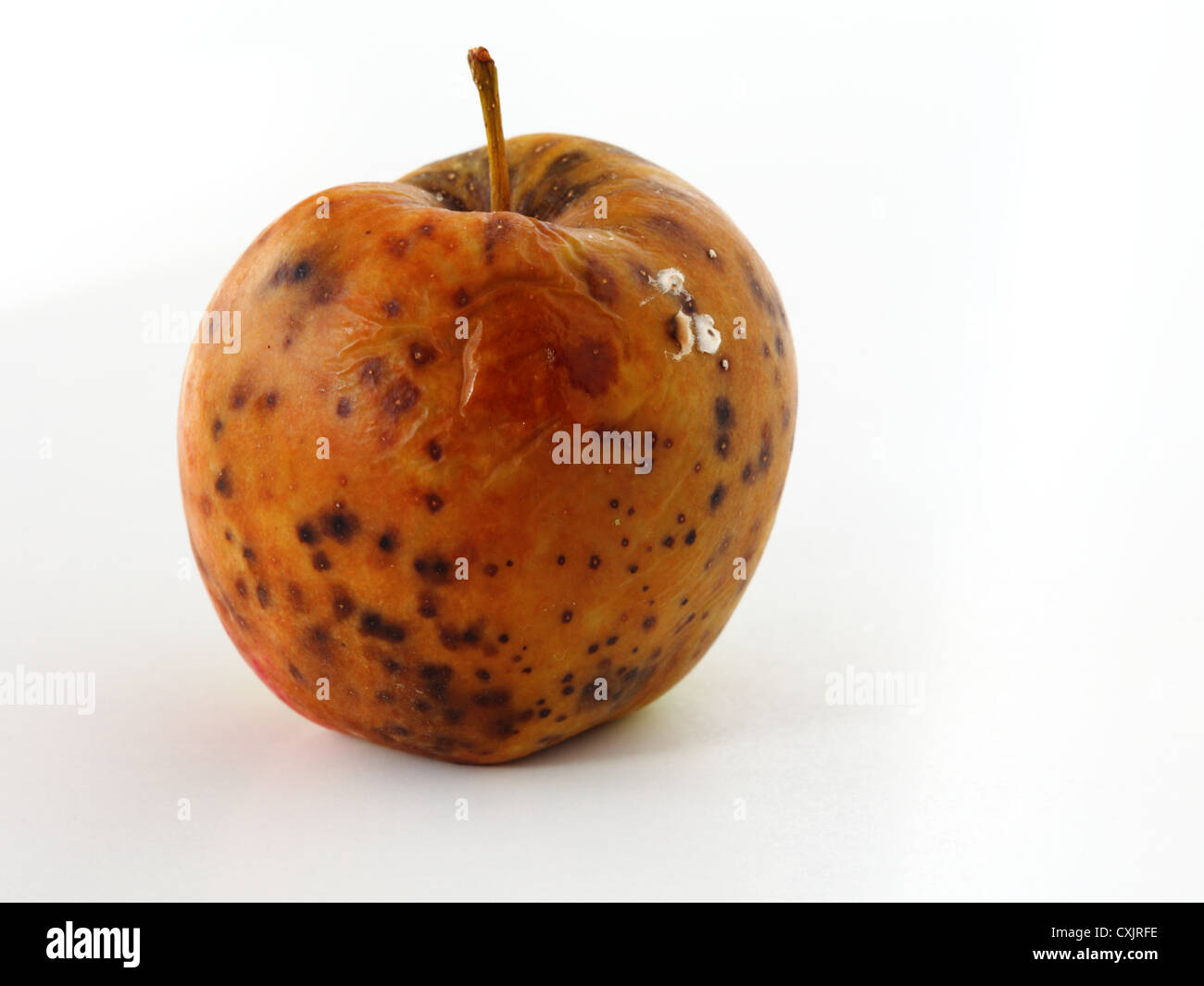 spoiled one bad red apple on white background Stock Photo - Alamy
