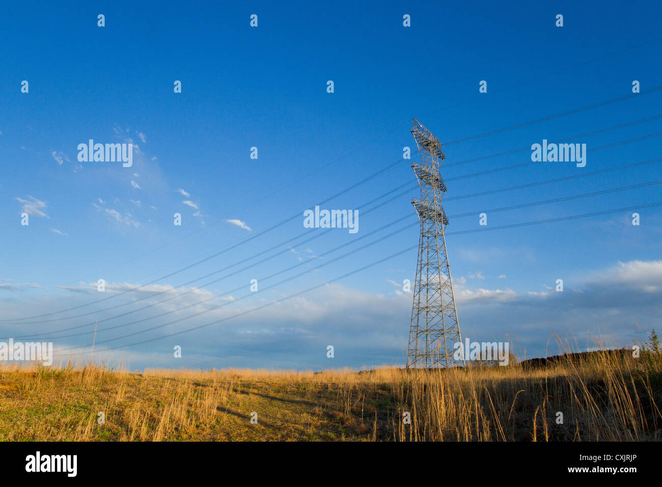 Transmission line tower hi-res stock photography and images - Alamy