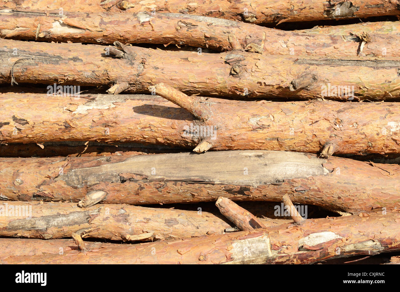 wooden logs background Stock Photo - Alamy
