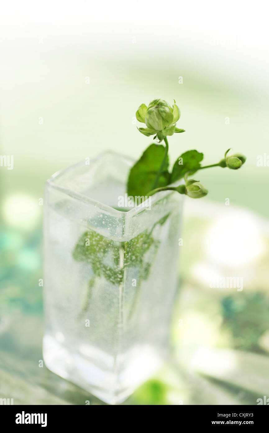 éclair vase hi-res stock photography and images - Alamy