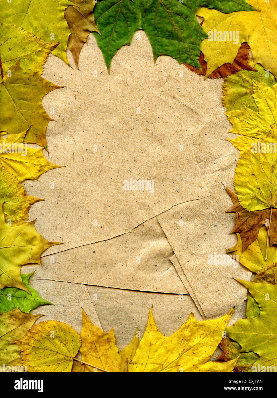 Leaves and paper Stock Photo - Alamy