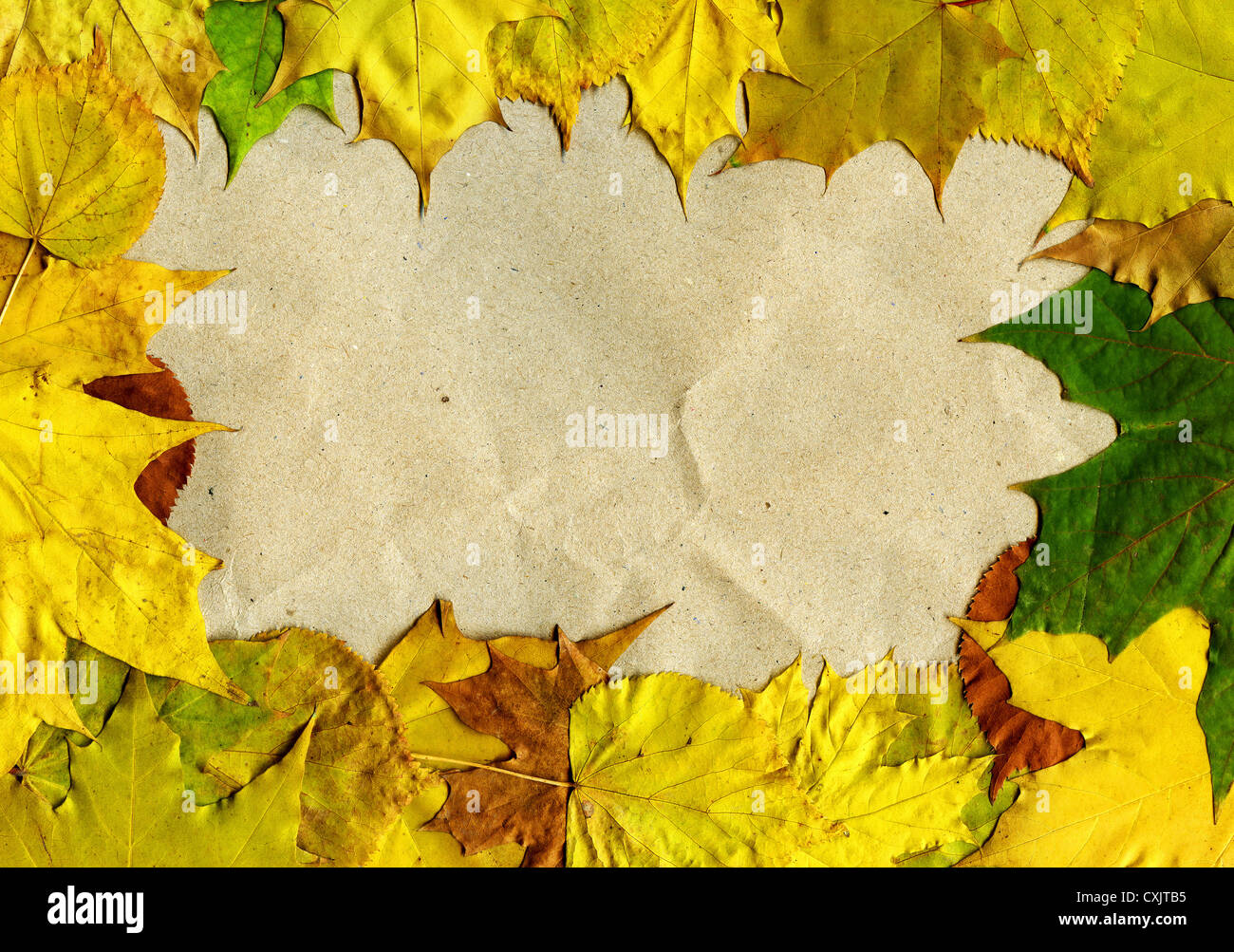 Leaves and paper Stock Photo - Alamy