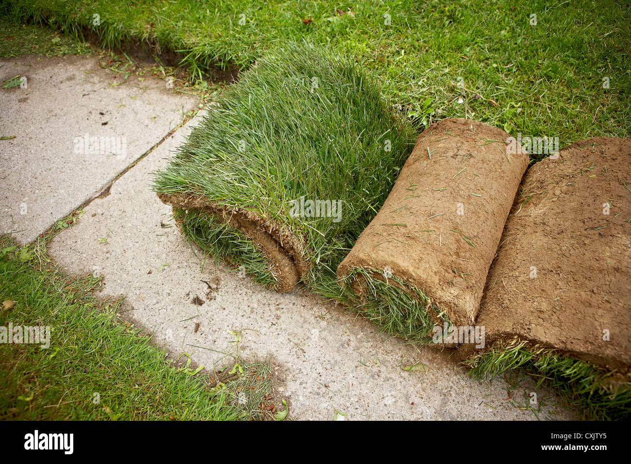 Rolls of Sod on Path, Toronto, Ontario, Canada Stock Photo - Alamy