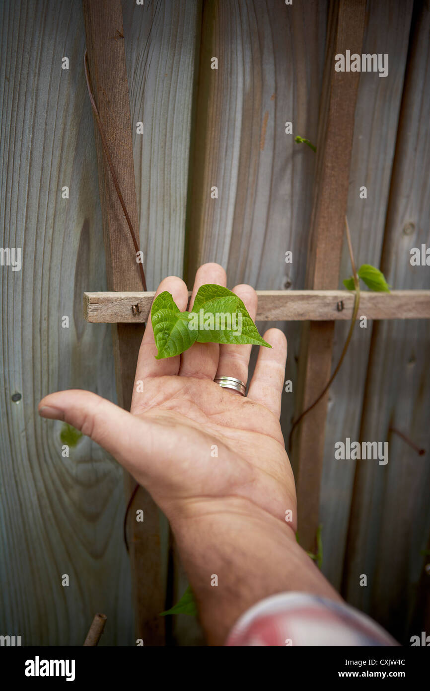Man climbing fence yard hi-res stock photography and images - Alamy