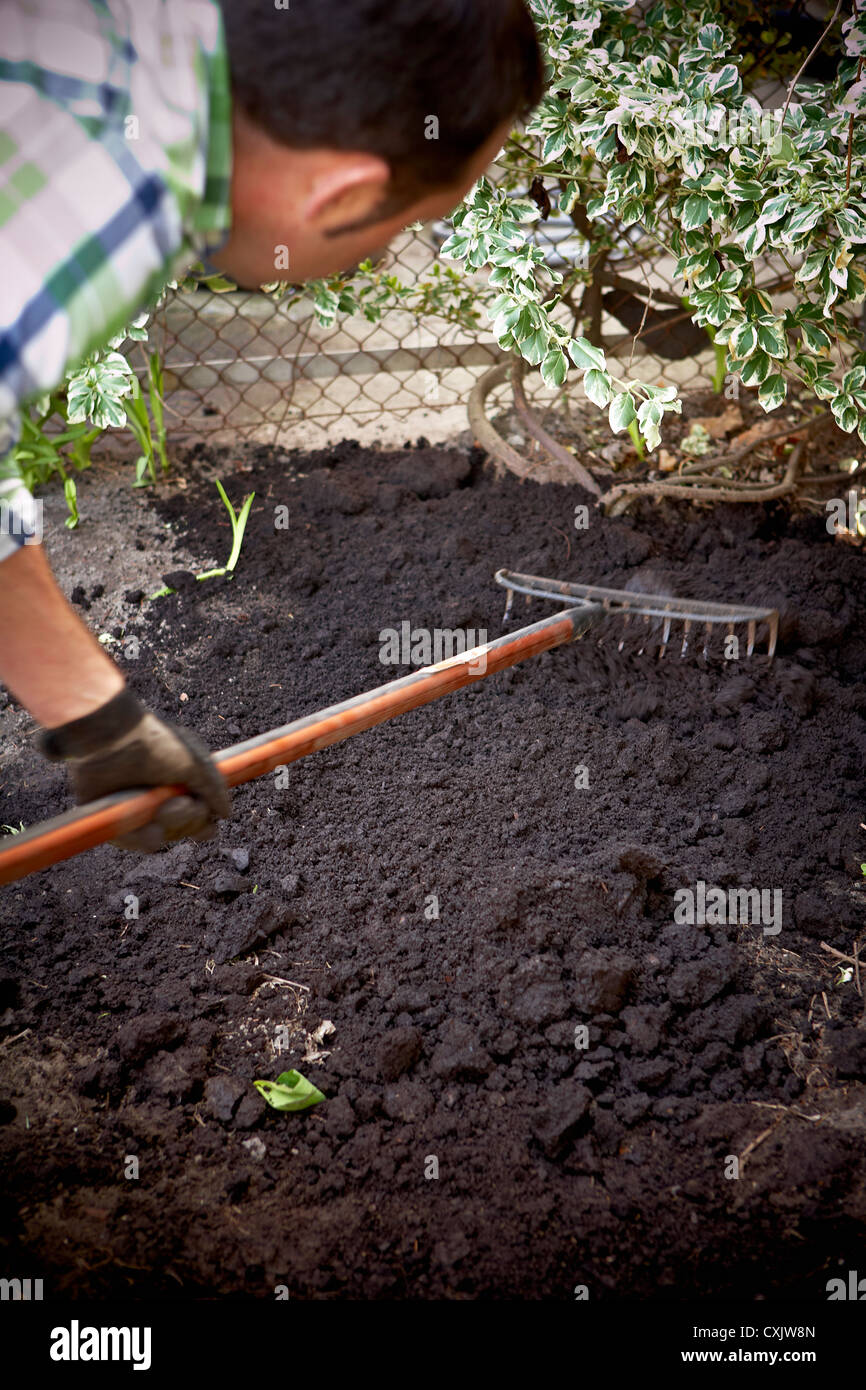 Gardener Raking fresh Dirt in Garden, Toronto, Ontario, Canada Stock ...