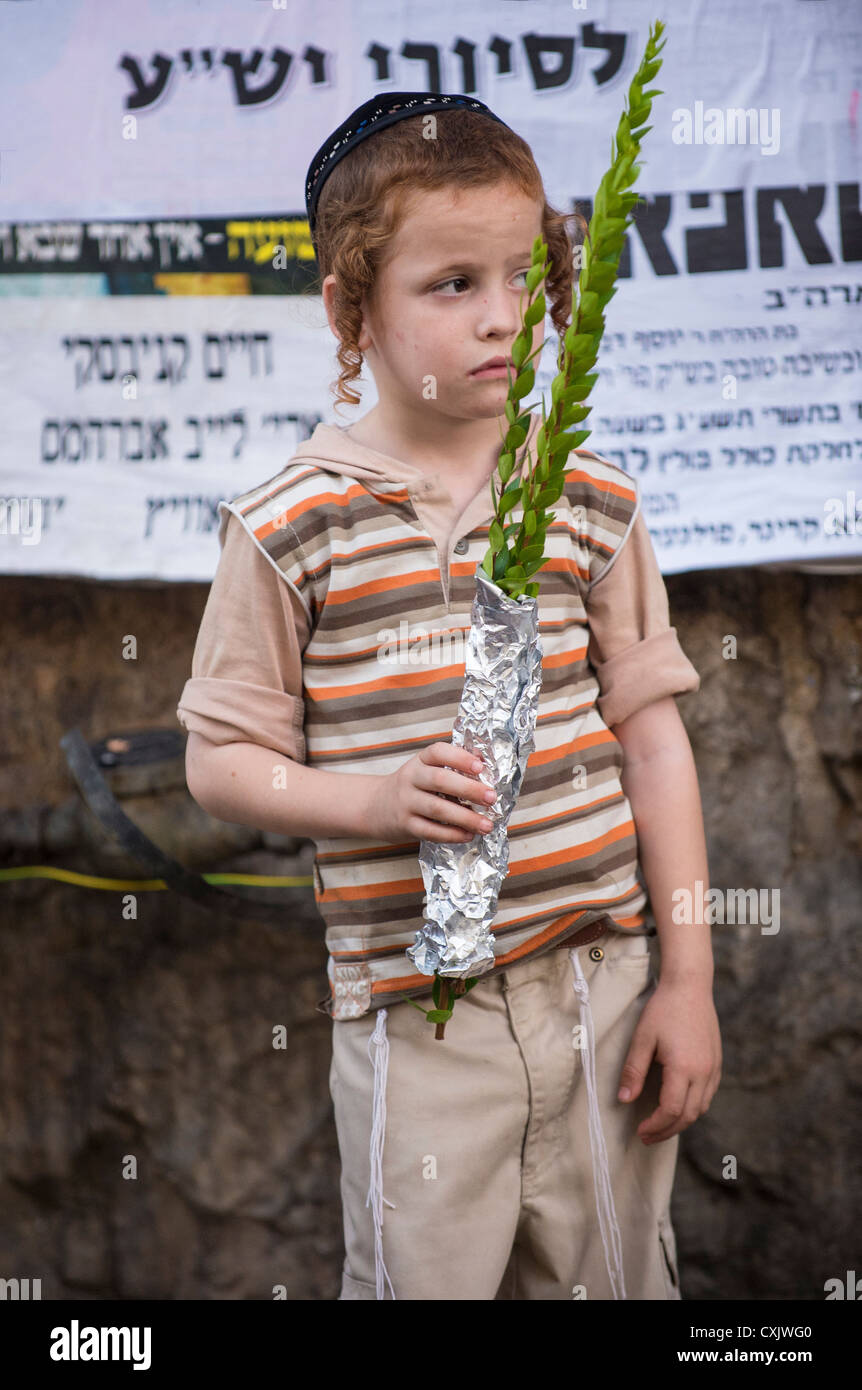 An Orthodox Jewish child holds an Hadas branch in the Four species ...