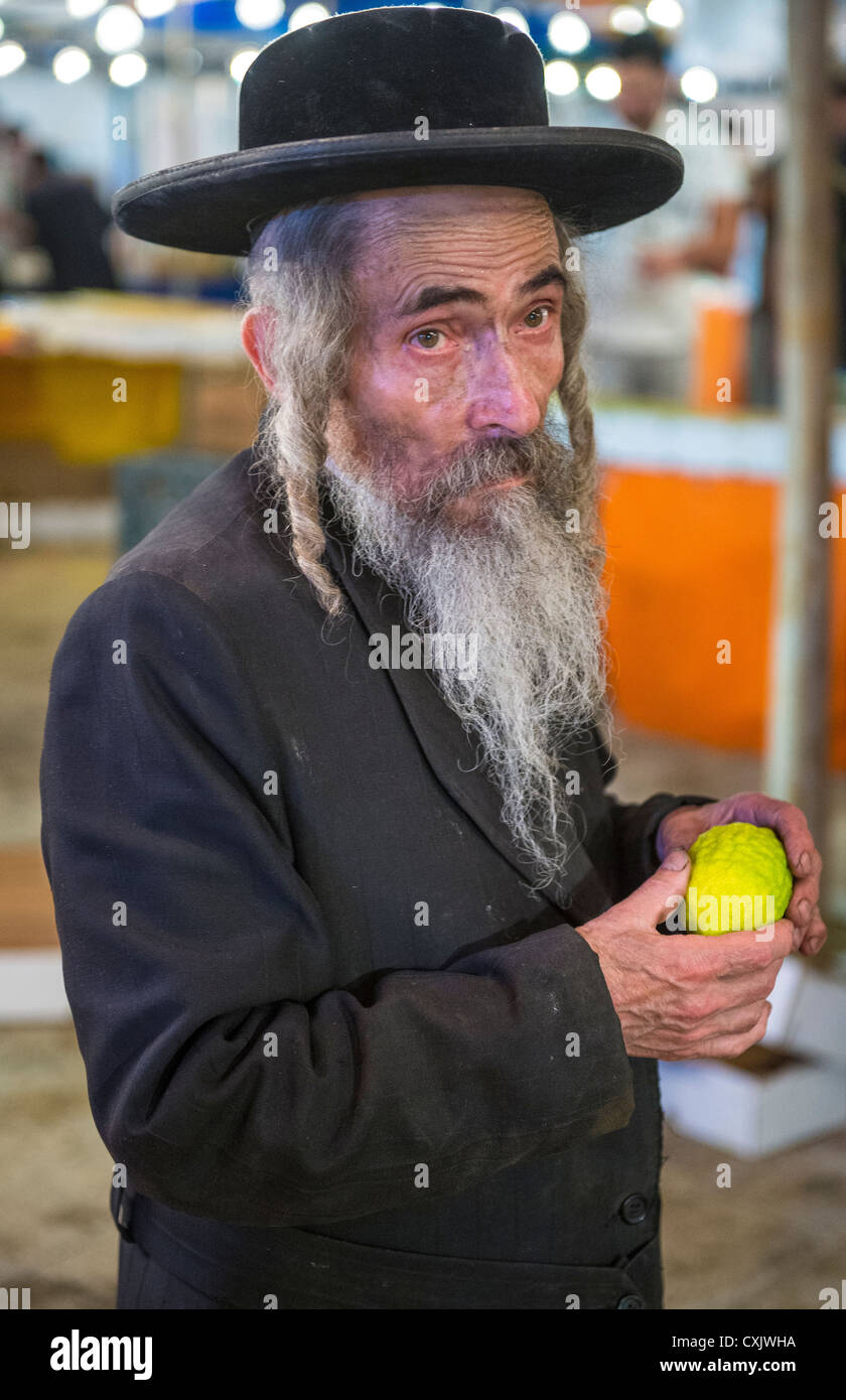 An ultra-orthodox Jewish man inspects an Etrog in the Four species ...