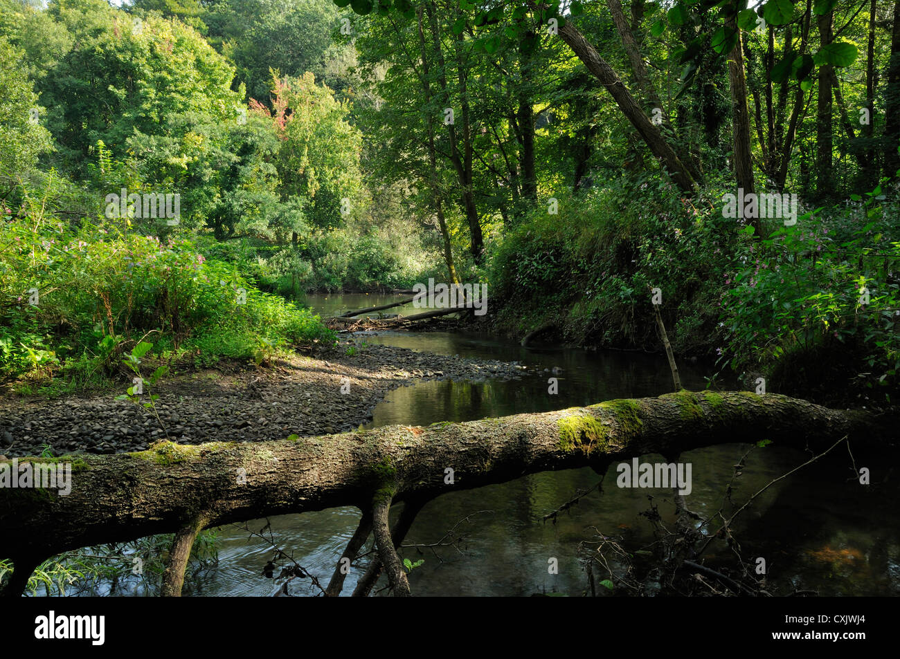 Brook river hi-res stock photography and images - Alamy