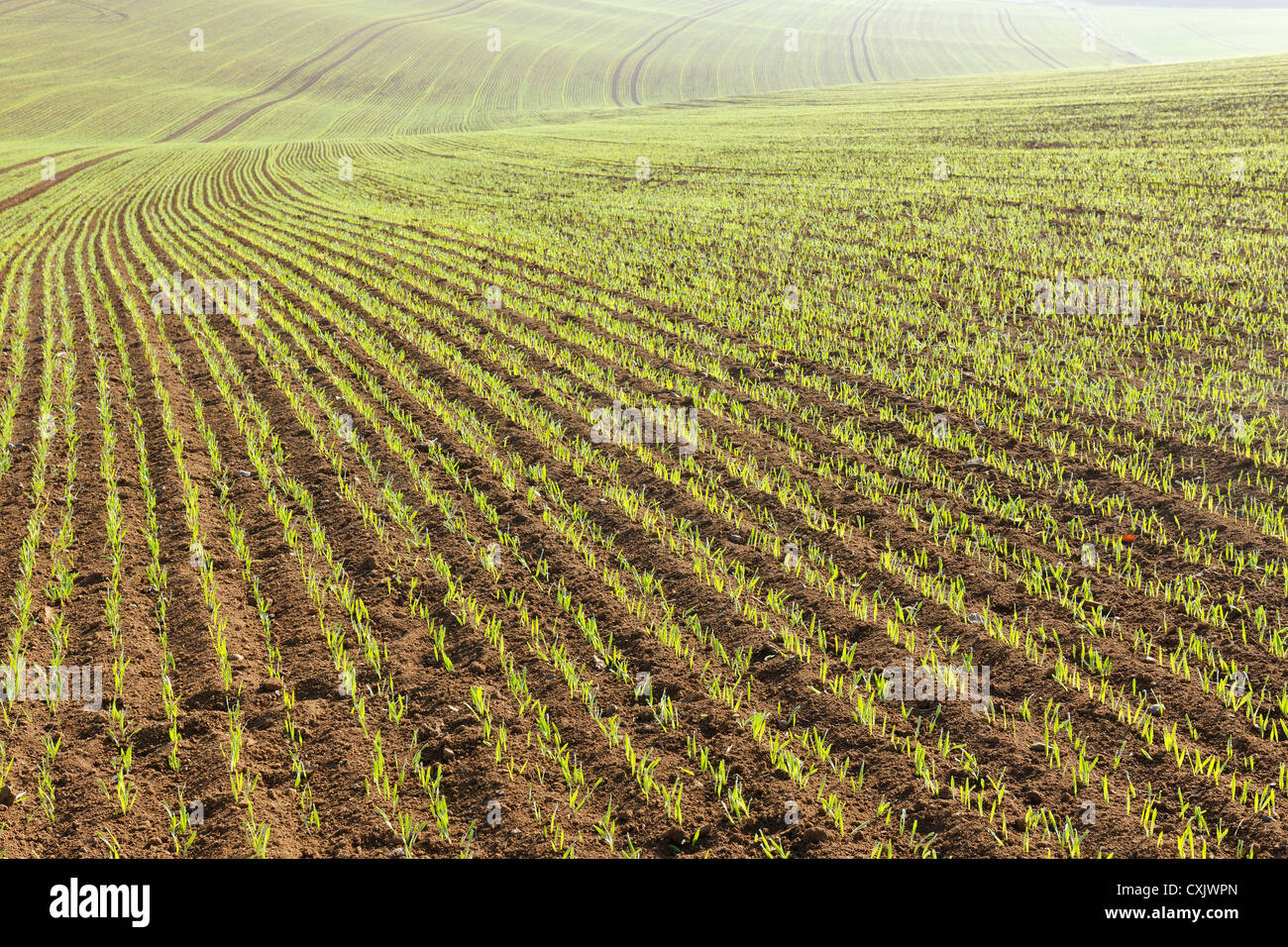 Bavaria spring farm scenery hi-res stock photography and images - Alamy