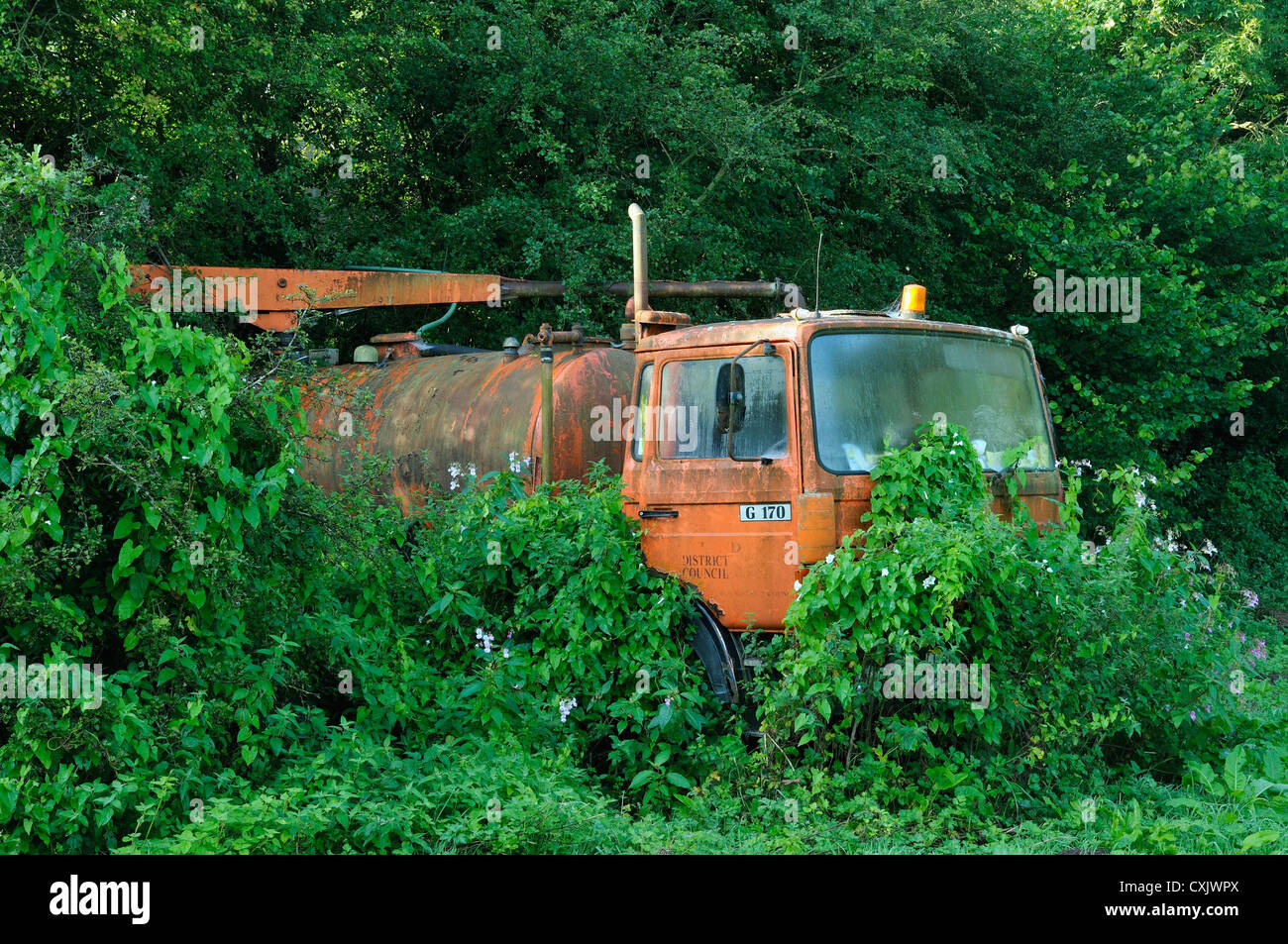 Disused Council Drain Cleaner Lorry overgrown with Himalayan Balsam ...