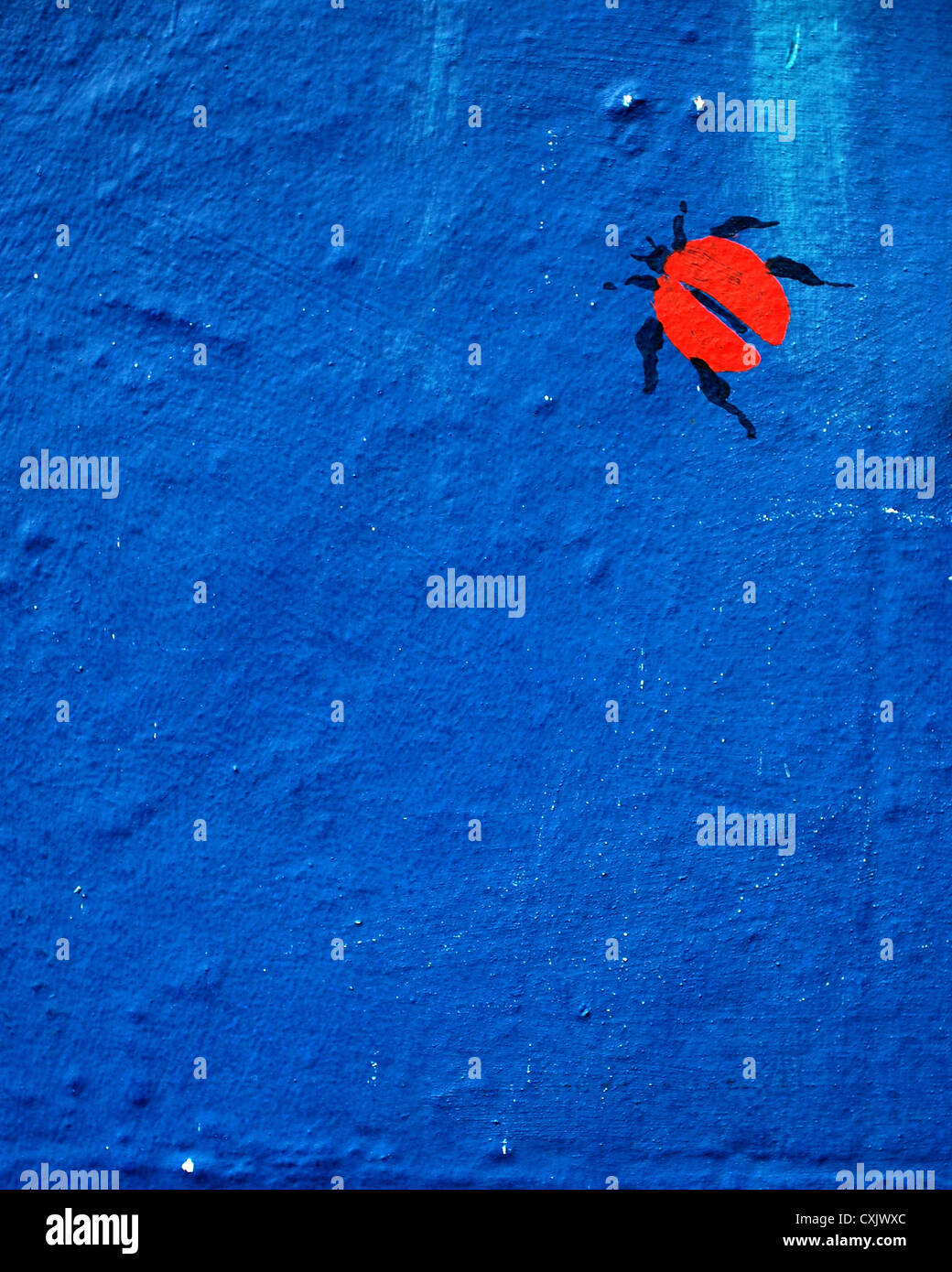 Ladybird on wall hi-res stock photography and images - Alamy