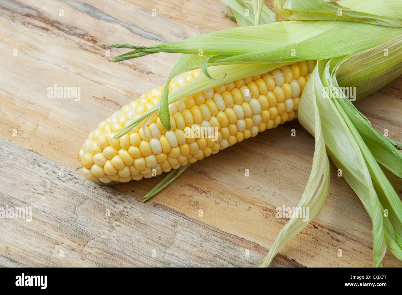 Ear of Corn, Birmingham, Alabama, USA Stock Photo - Alamy