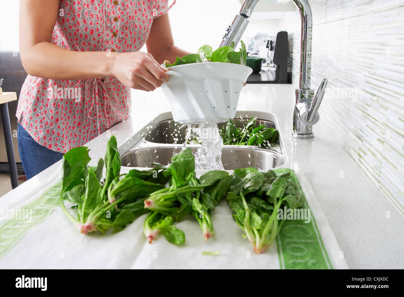 Woman Washing Spinach, Toronto, Ontario, Canada Stock Photo - Alamy