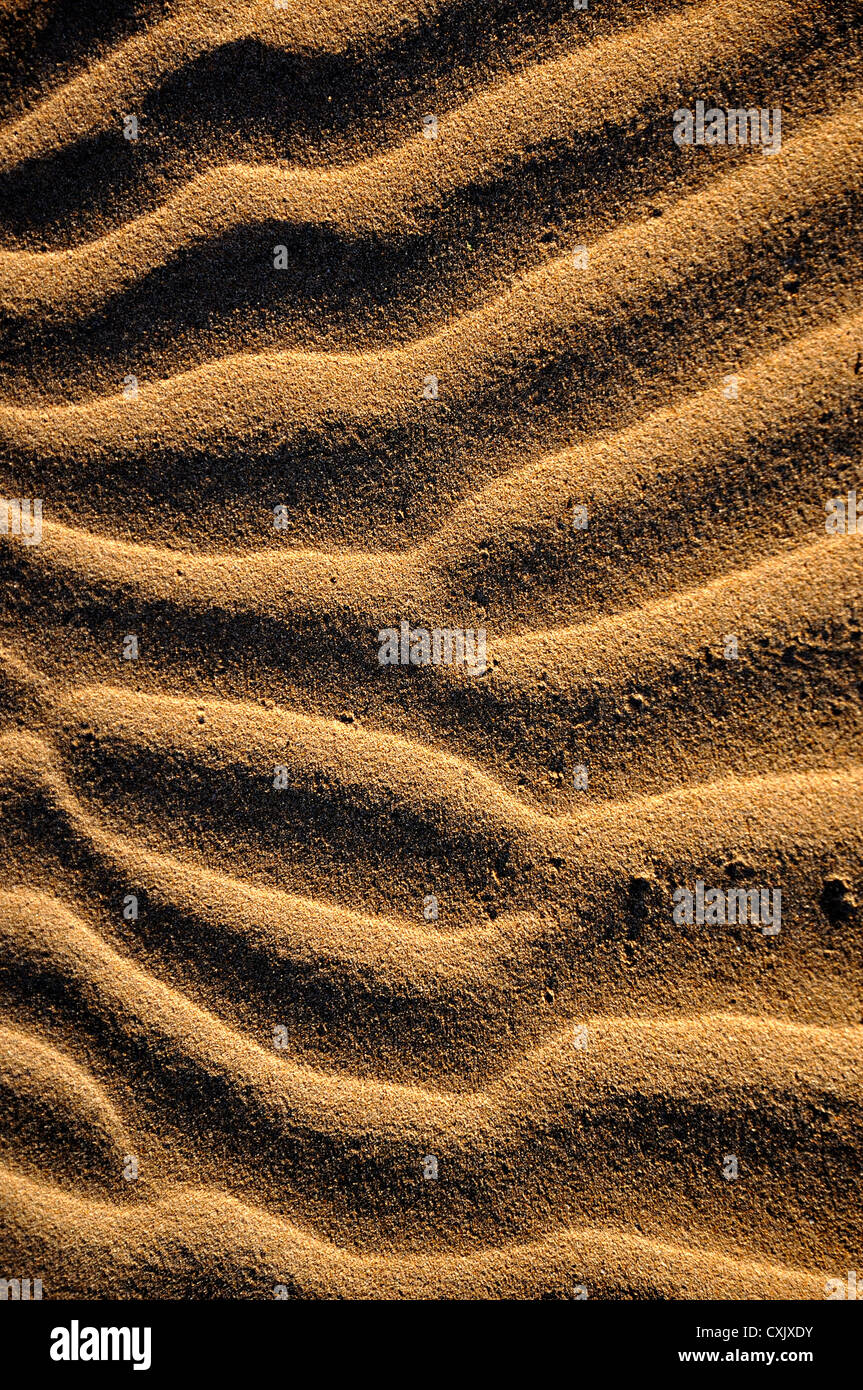 Ripples on Sahara desert sand. Morocco Stock Photo - Alamy